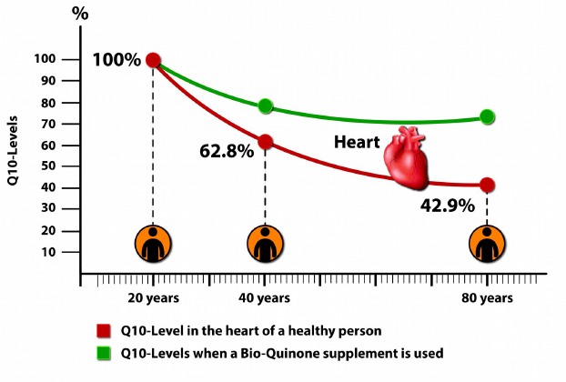 CoEnzyme Q10 - Bio-Quinone and Bio-Ubiquinol The undeniable gold ...